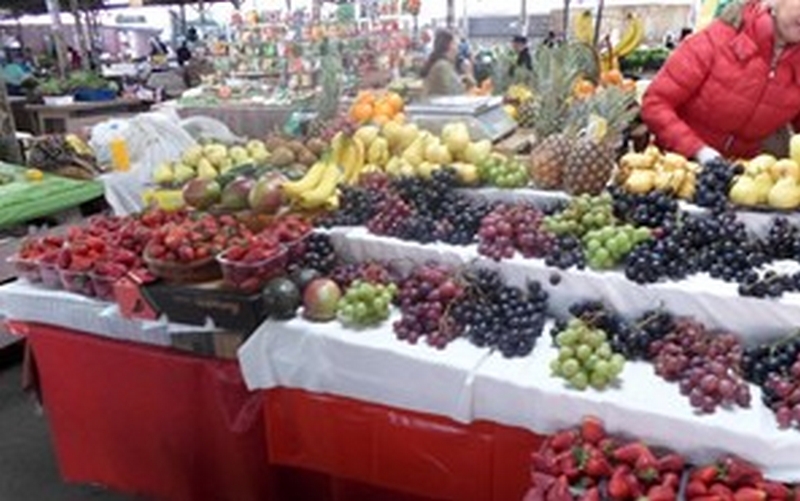 Sprijin, binevenit, pentru producătorii de fructe » Radio România Reșița