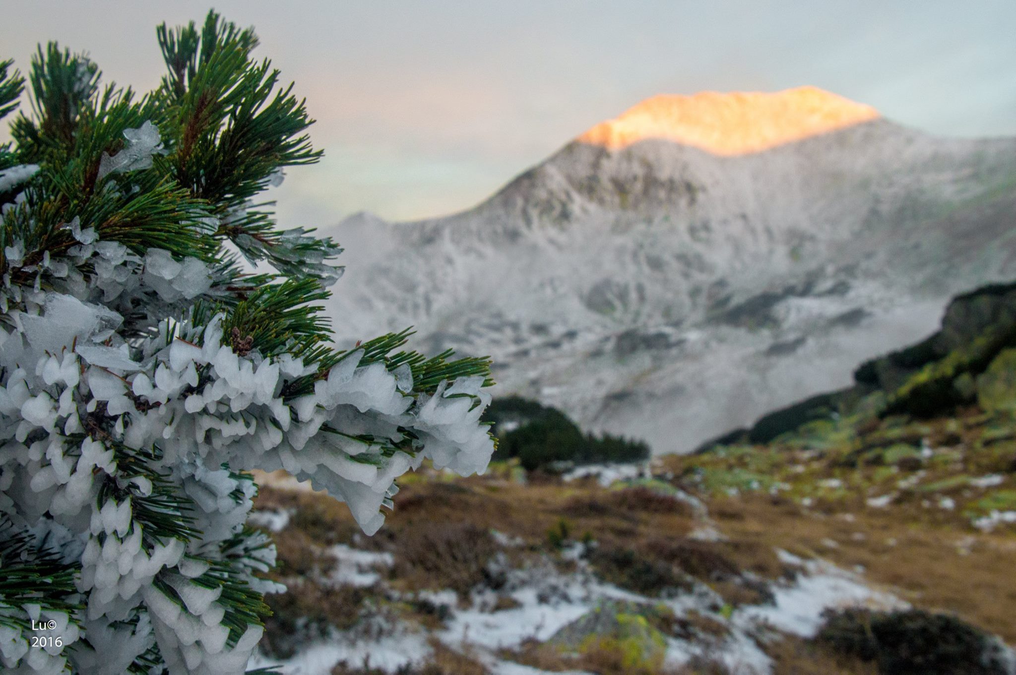 Iarnă în Retezat: Priveliște de basm pe cel mai înalt vârf al masivului ...