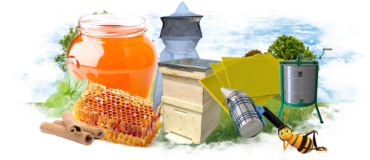 Cel mai mare târg apicol din vestul ţării, cu participare ...