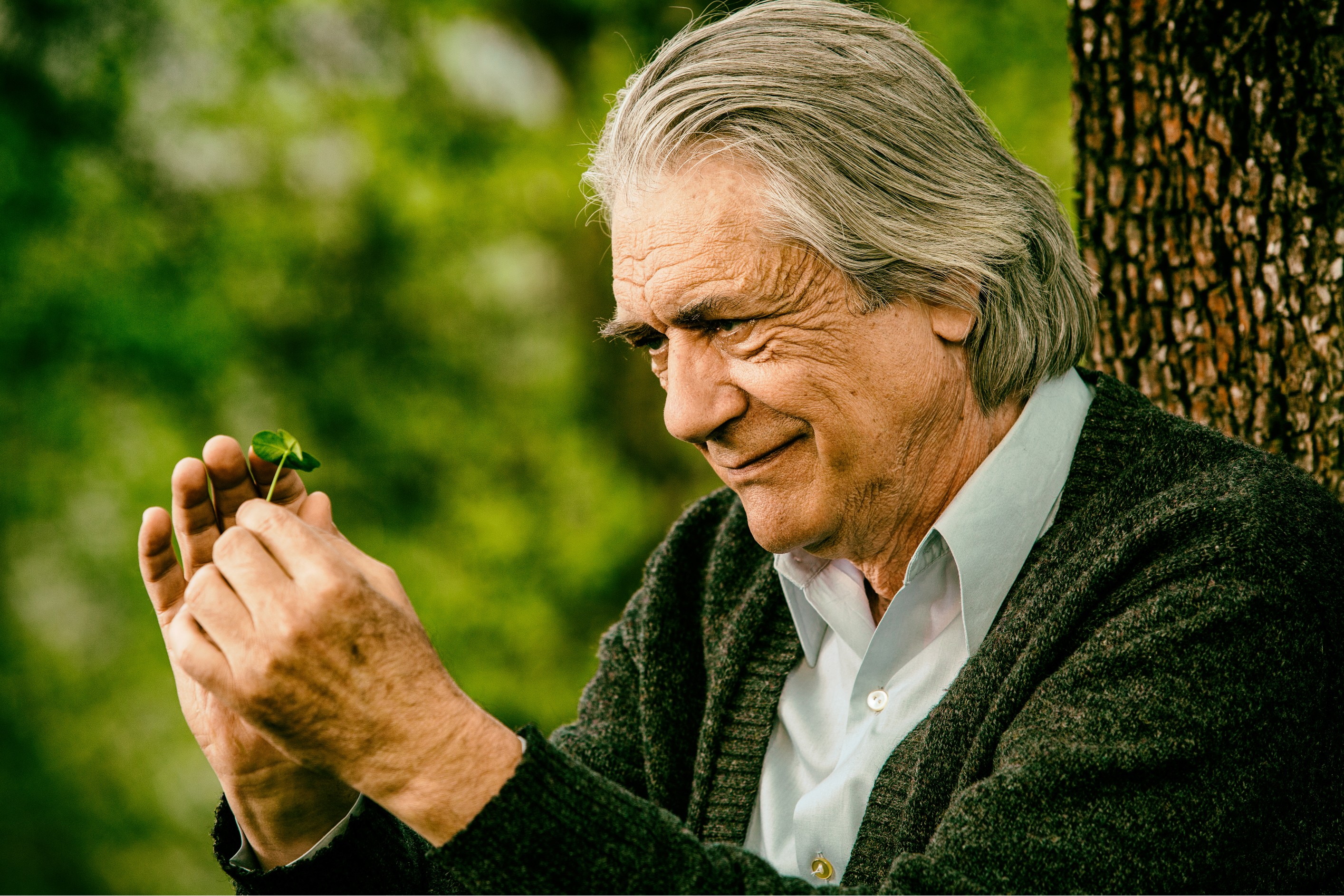 Marcel Iureș - Doctor Honoris Causa al Universităţii de Vest » Radio ...