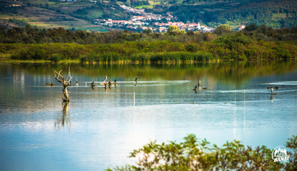 Supărare la Moldova Nouă » Radio România Reșița