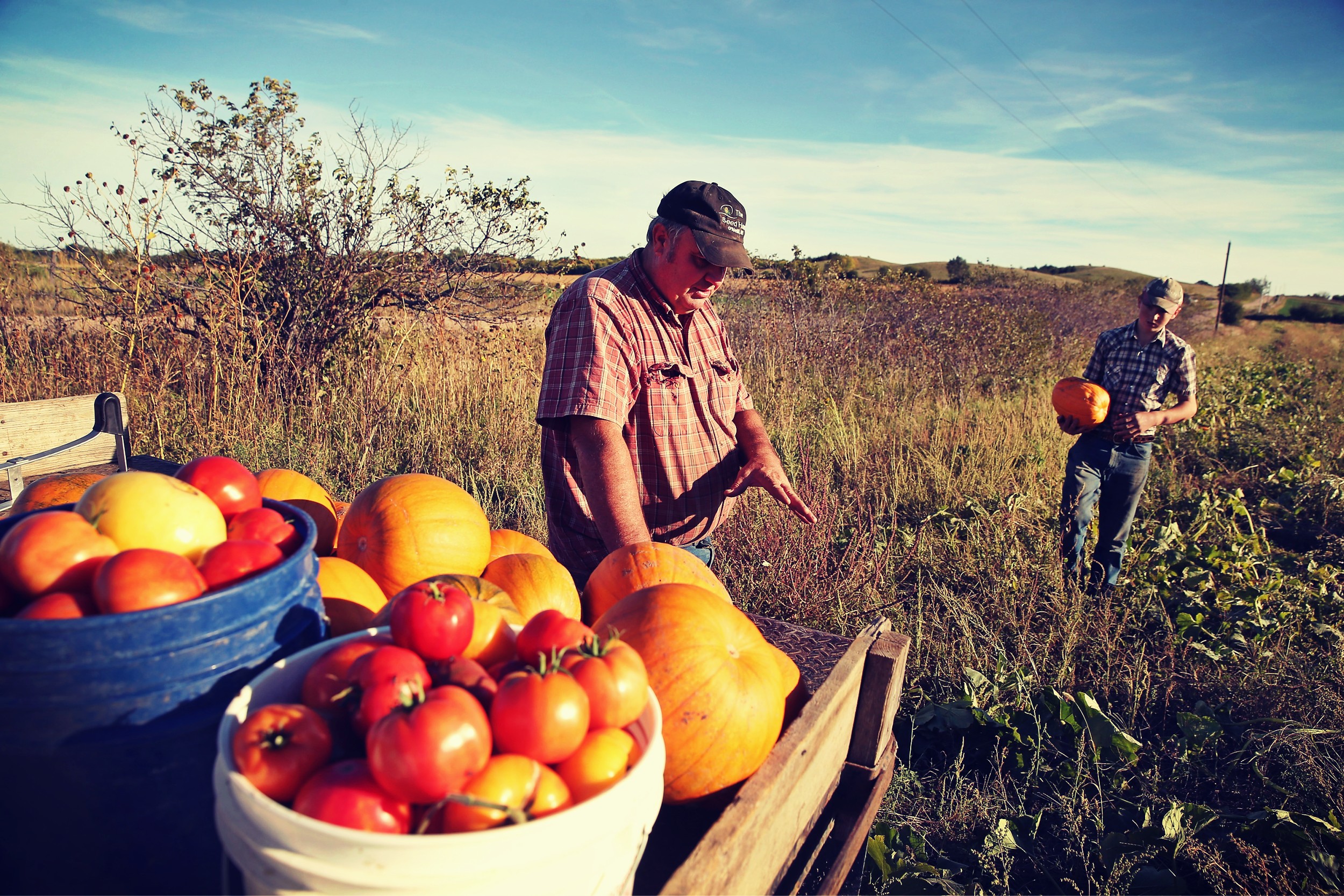 [AUDIO] Direcţia pentru Agricultură Caraş-Severin pregăteşte fermieri ...
