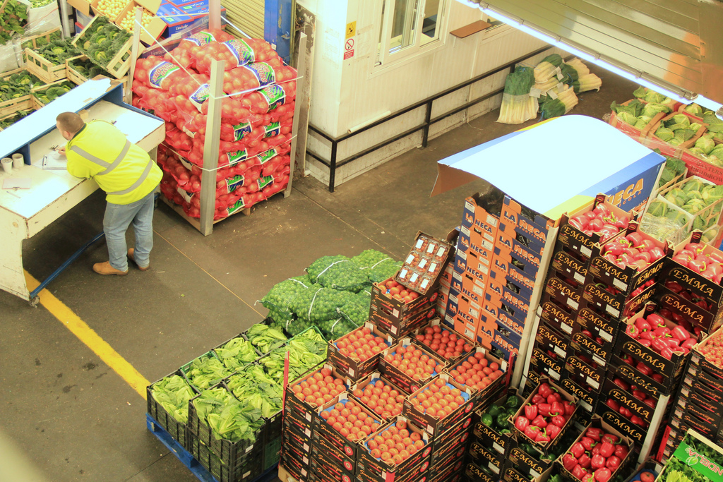 Depozitele de legume-fructe şi de colectare a lânii printre ...