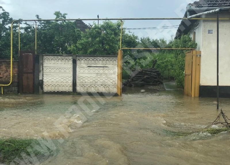 [VIDEO/FOTO] Ploile din ultimele ore au inundat Bocşa şi Caransebeşul ...