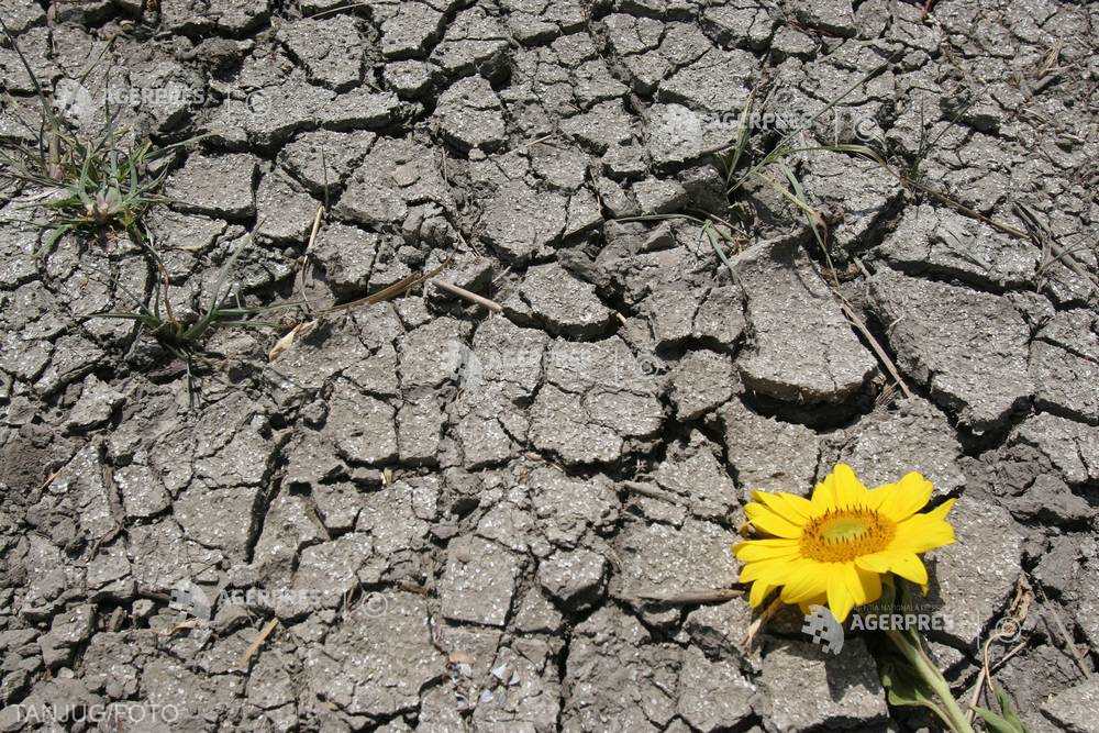 17 iunie - Ziua mondială pentru combaterea deşertificării şi a secetei ...