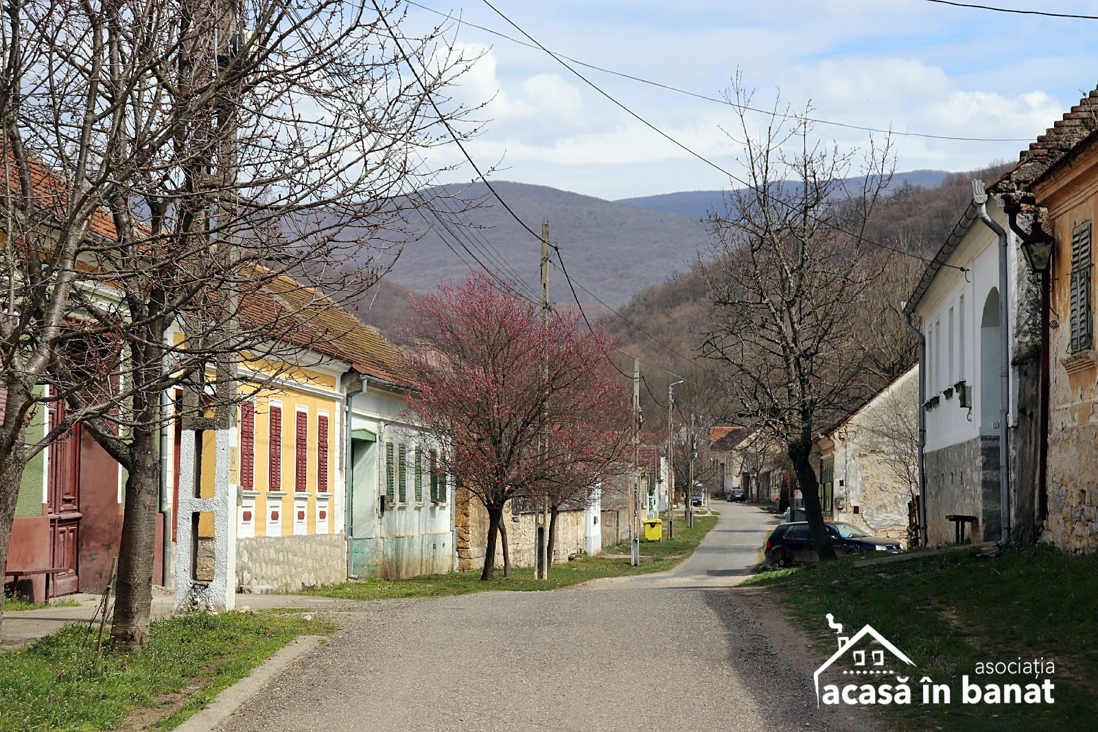 Asociația “Acasă în Banat” a dat startul înscrierilor pentru voluntari ...