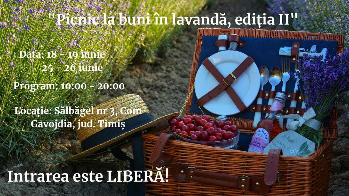 Picnic la buni în lavandă din acest sfârşit de săptămână » Radio ...