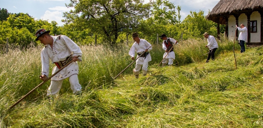 Clacă la coasă, la Iabalcea, în acest sfârşit de săptămână » Radio ...