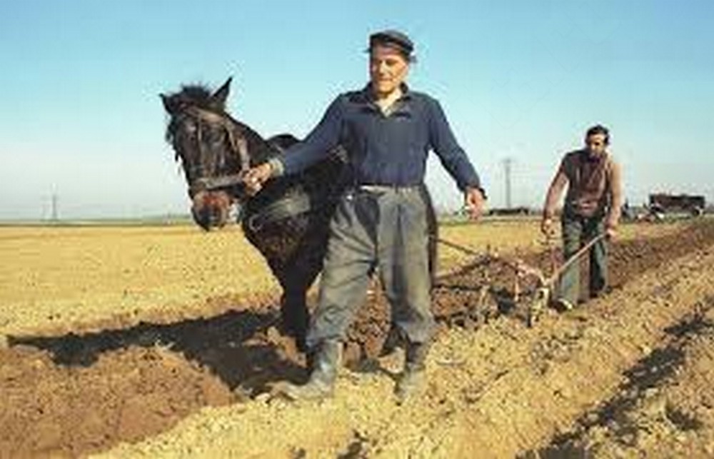 Ziua satului românesc este marcată astăzi în întreaga ţară. În Caraş ...