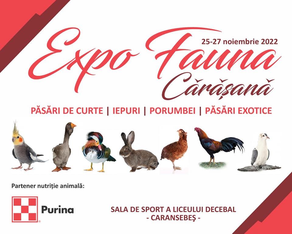 [AUDIO] Fauna Cărăşană la ceas aniversar în expoziţie la Caransebeş ...
