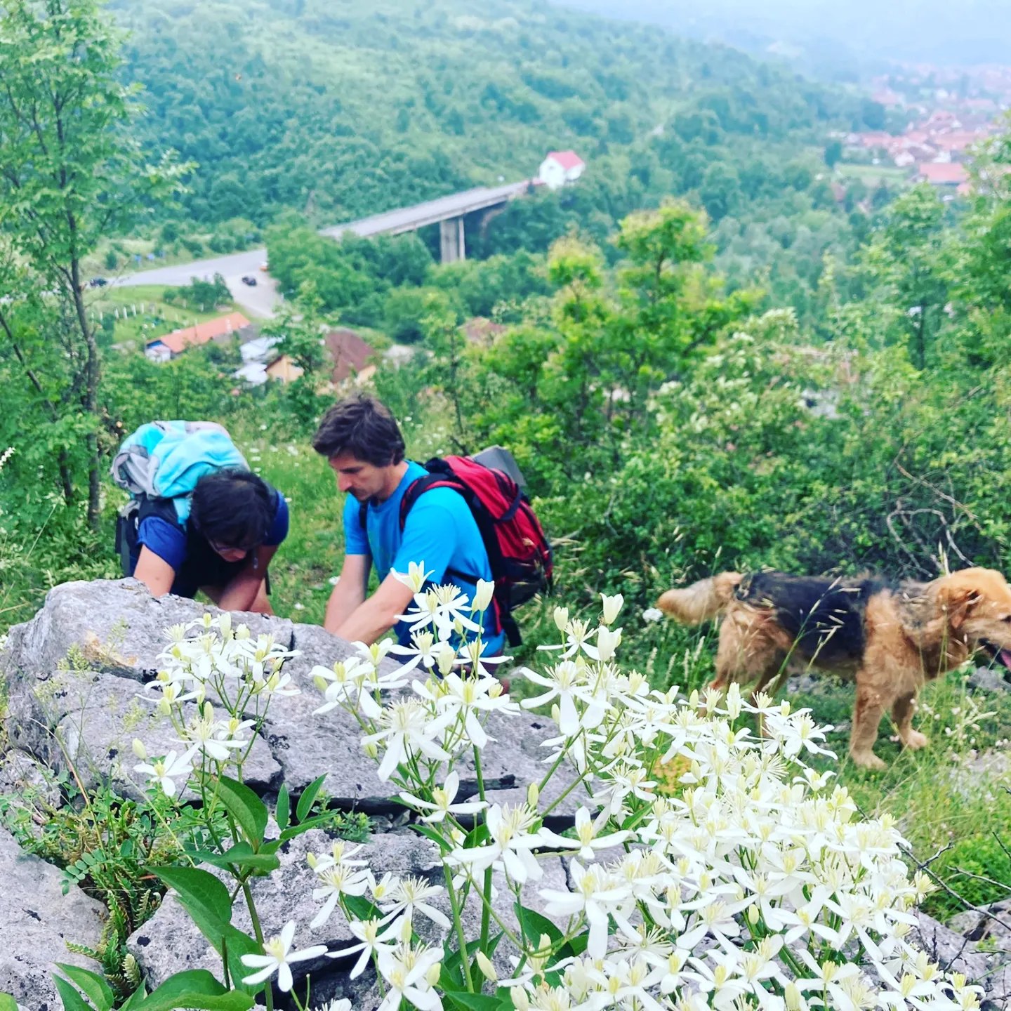 Un nou traseu turistic în Cheile Caraşului » Radio România Reșița