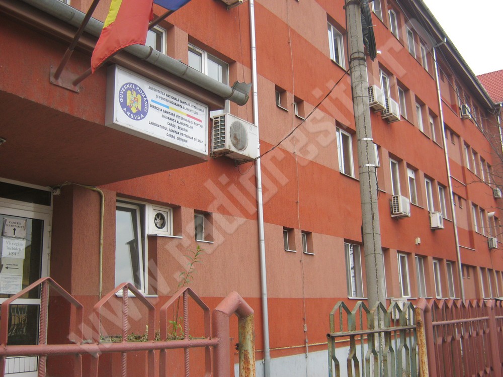 Permanenţa de sărbători, instituită de DSVSA Caraş-Severin » Radio ...