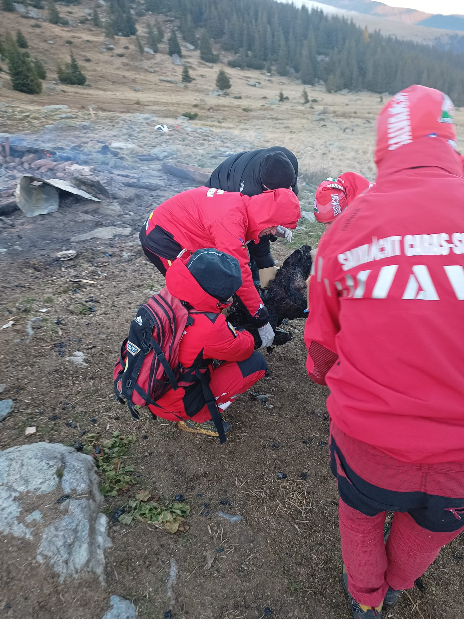 Sfârşit tragic pentru un cioban aflat la stână » Radio România Reșița