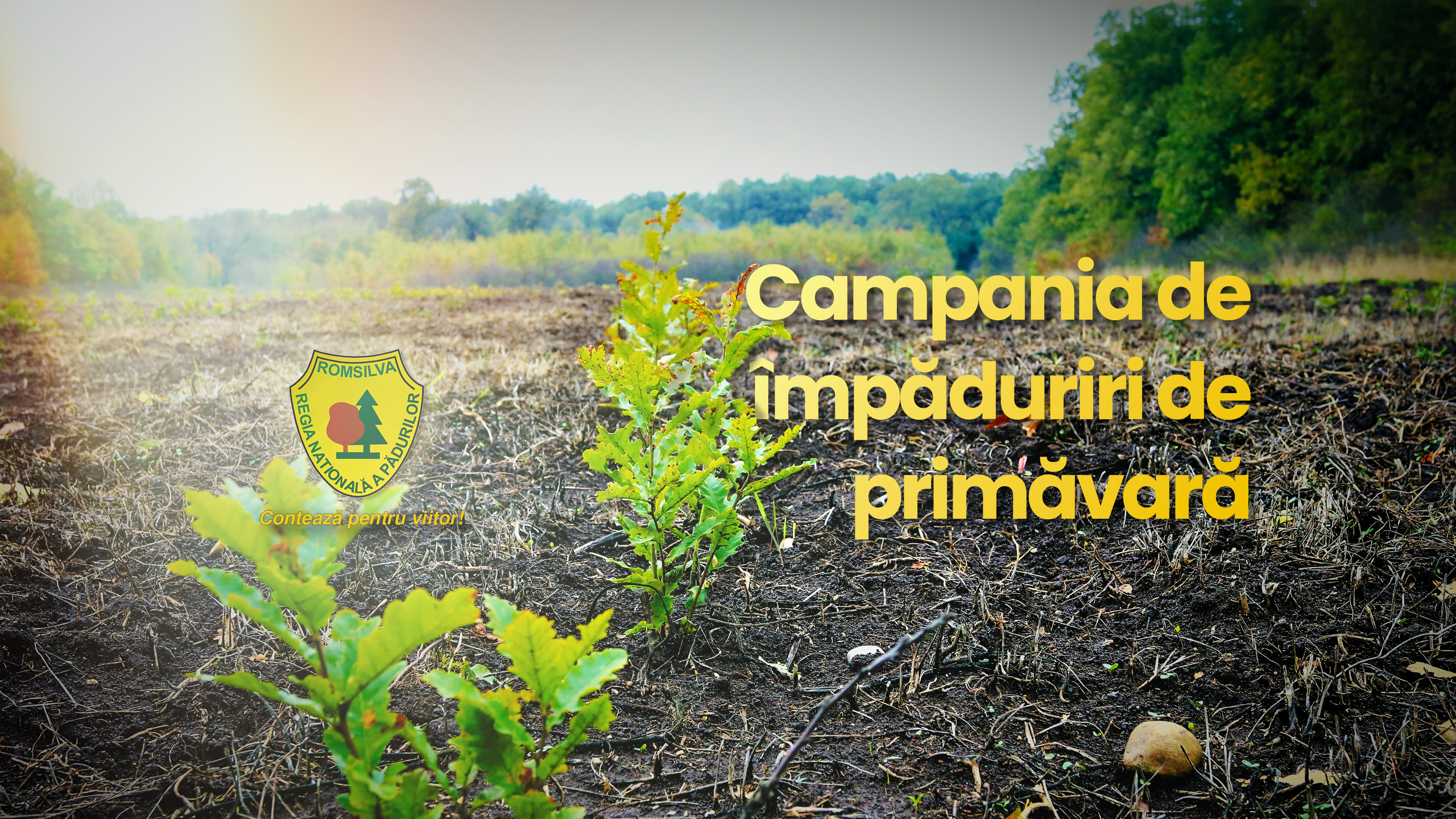 Viitor verde pentru Caraș-Severin: peste 700 hectare regenerate în ...