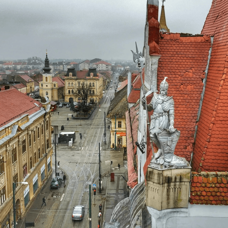 Timișoara investește în verde: Plan Urbanistic pentru cartierul Fabric ...