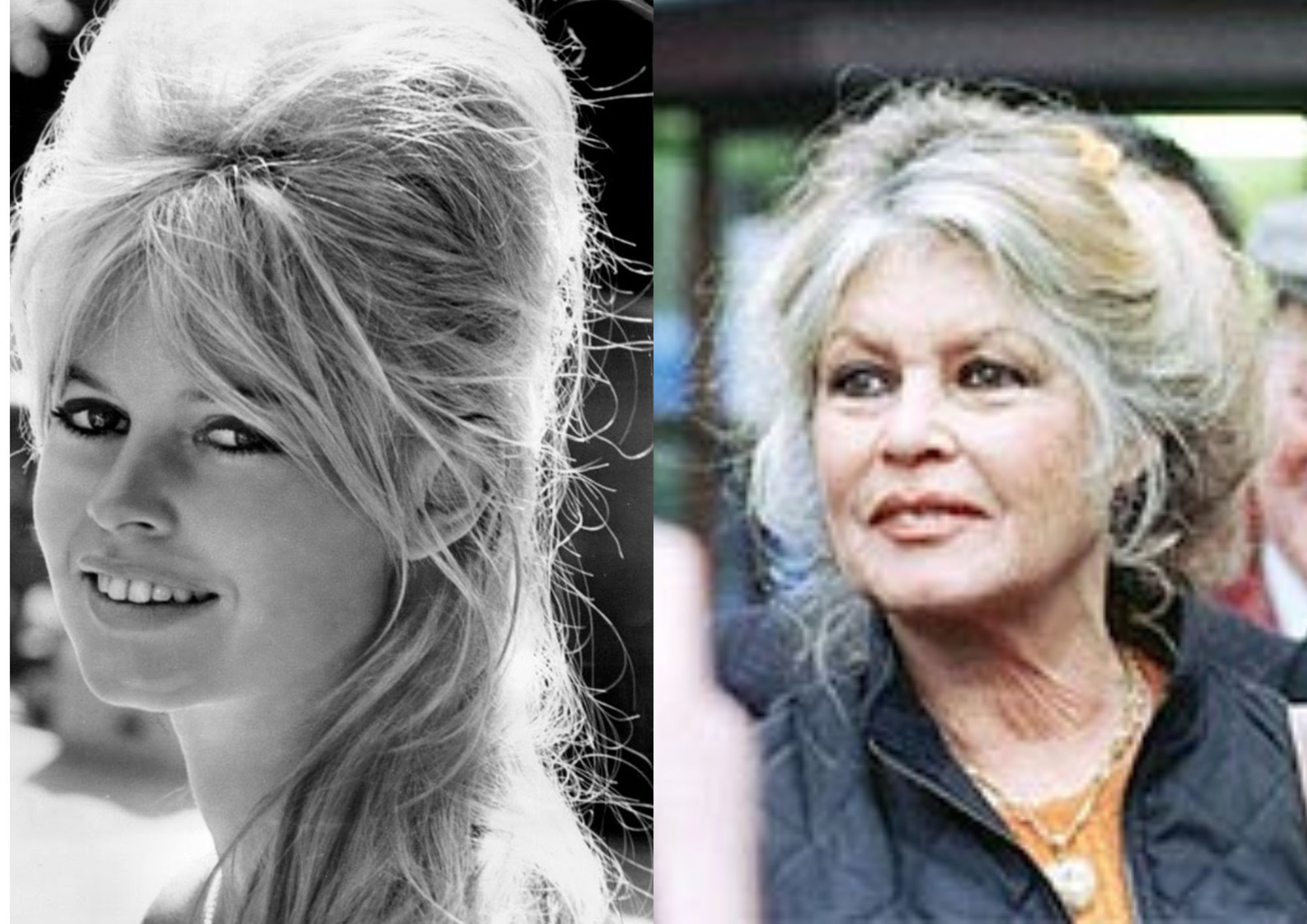 Înmormântarea lui Brigitte Bardot va avea loc pe 7 ianuarie la Saint ...