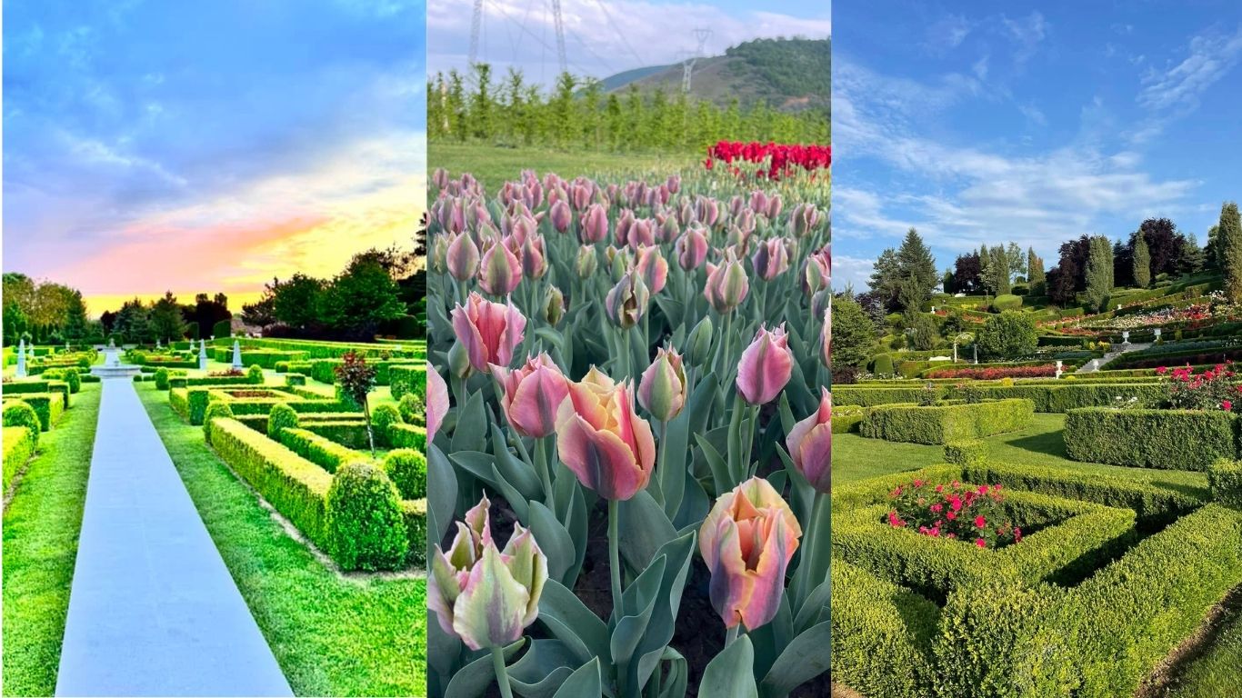 Grădina I Giardini di Zoe din Banpotoc s-a redeschis: peste 60.000 de ...