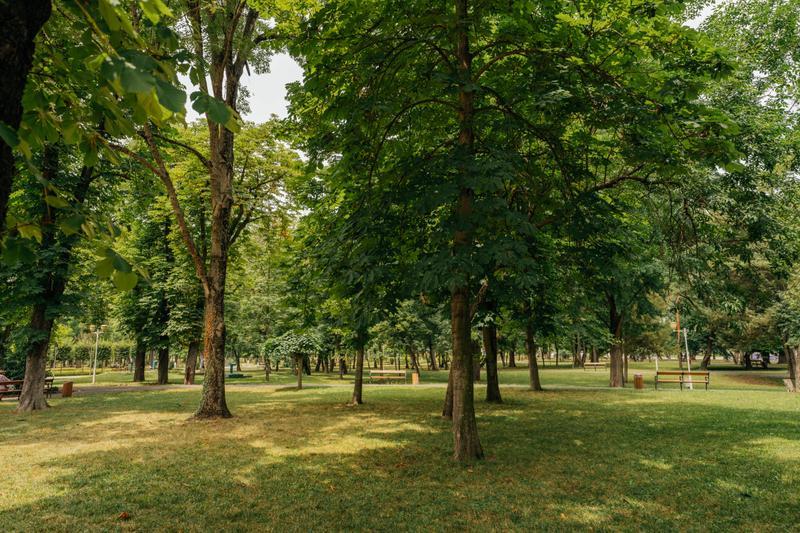 Trei parcuri noi în Timișoara: iazuri artificiale, zone de fitness ...
